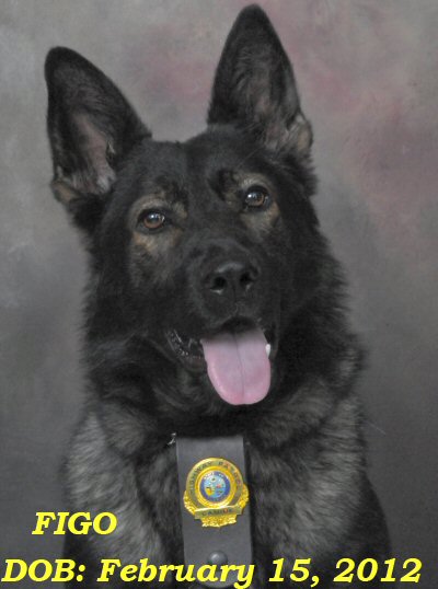 Criminal Interdiction Unit - Florida Department of Highway Safety and ...