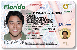 Florida Temporary Drivers License