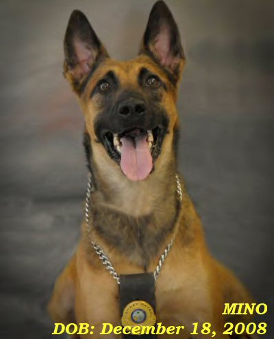 Criminal Interdiction Unit - Florida Department of Highway Safety and ...