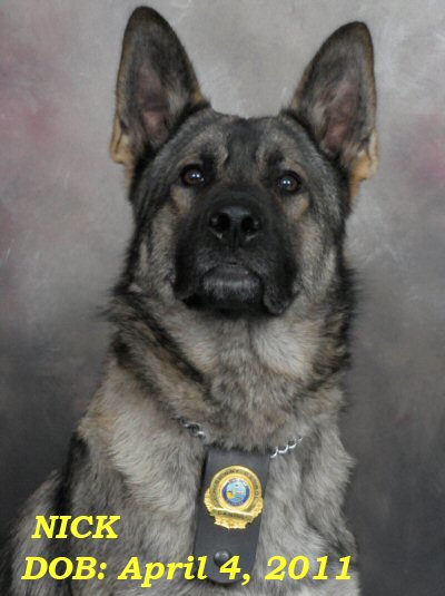 Criminal Interdiction Unit - Florida Department of Highway Safety and ...