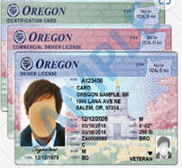 Out-of-state license classes no longer accepted in Florida - Florida ...