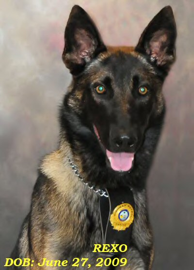 Criminal Interdiction Unit - Florida Department of Highway Safety and ...