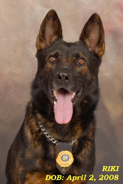 Criminal Interdiction Unit - Florida Department of Highway Safety and ...