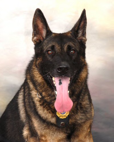 Criminal Interdiction Unit - Florida Department of Highway Safety and ...