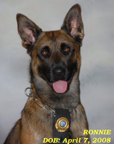 Criminal Interdiction Unit - Florida Department of Highway Safety and ...