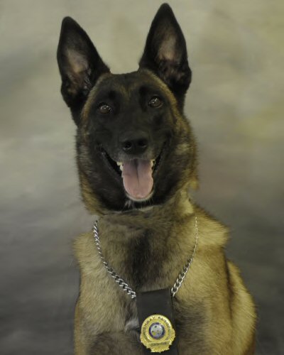 Criminal Interdiction Unit - Florida Department of Highway Safety and ...