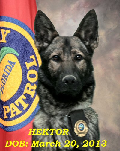 Criminal Interdiction Unit - Florida Department of Highway Safety and ...