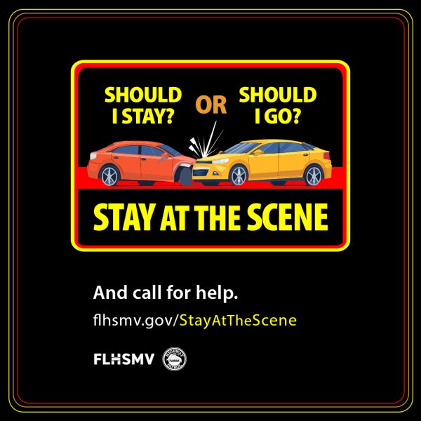 Hit-and-Run Awareness - Florida Department of Highway Safety and Motor ...