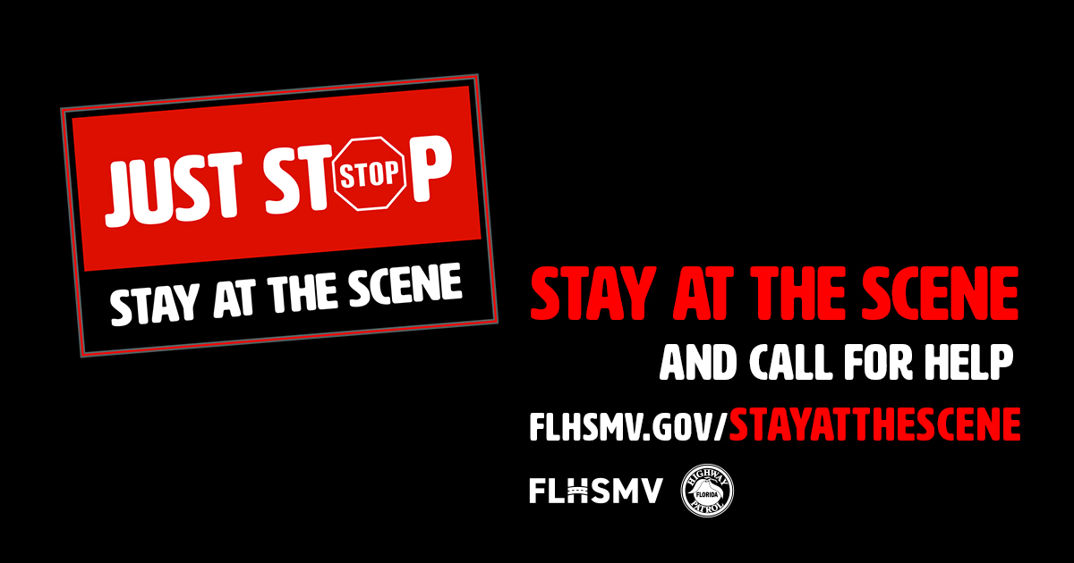 Hit-and-Run Awareness - Florida Department of Highway Safety and Motor ...