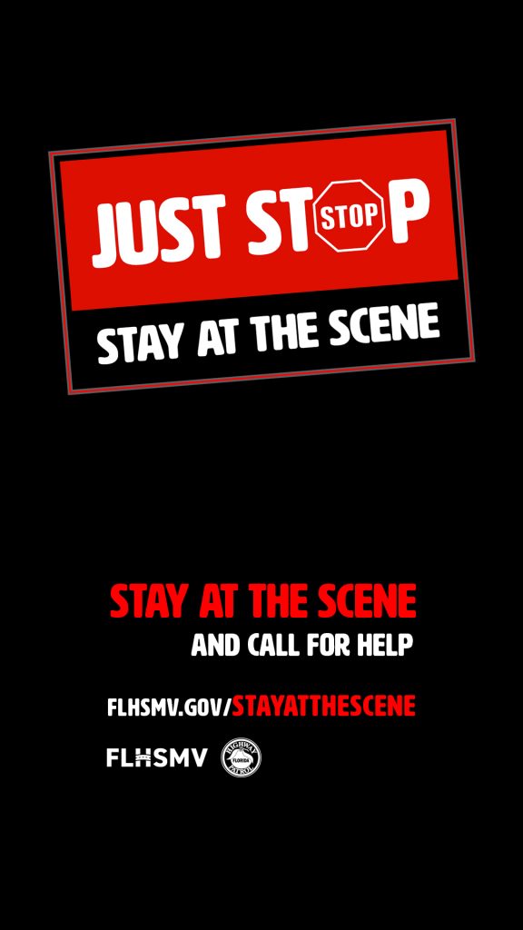 Hit-and-Run Awareness - Florida Department of Highway Safety and Motor ...