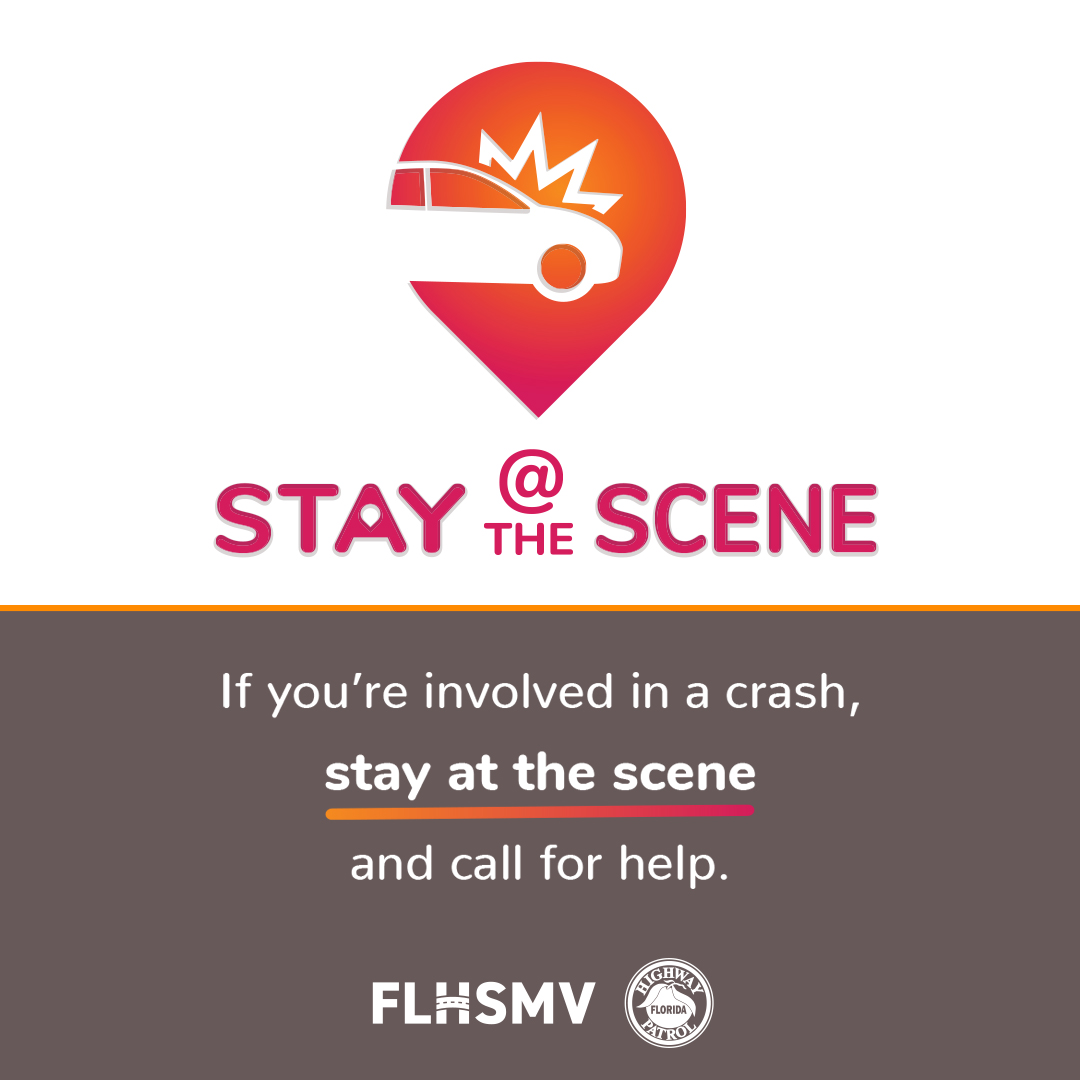 Hit-and-Run Awareness - Florida Department of Highway Safety and Motor ...